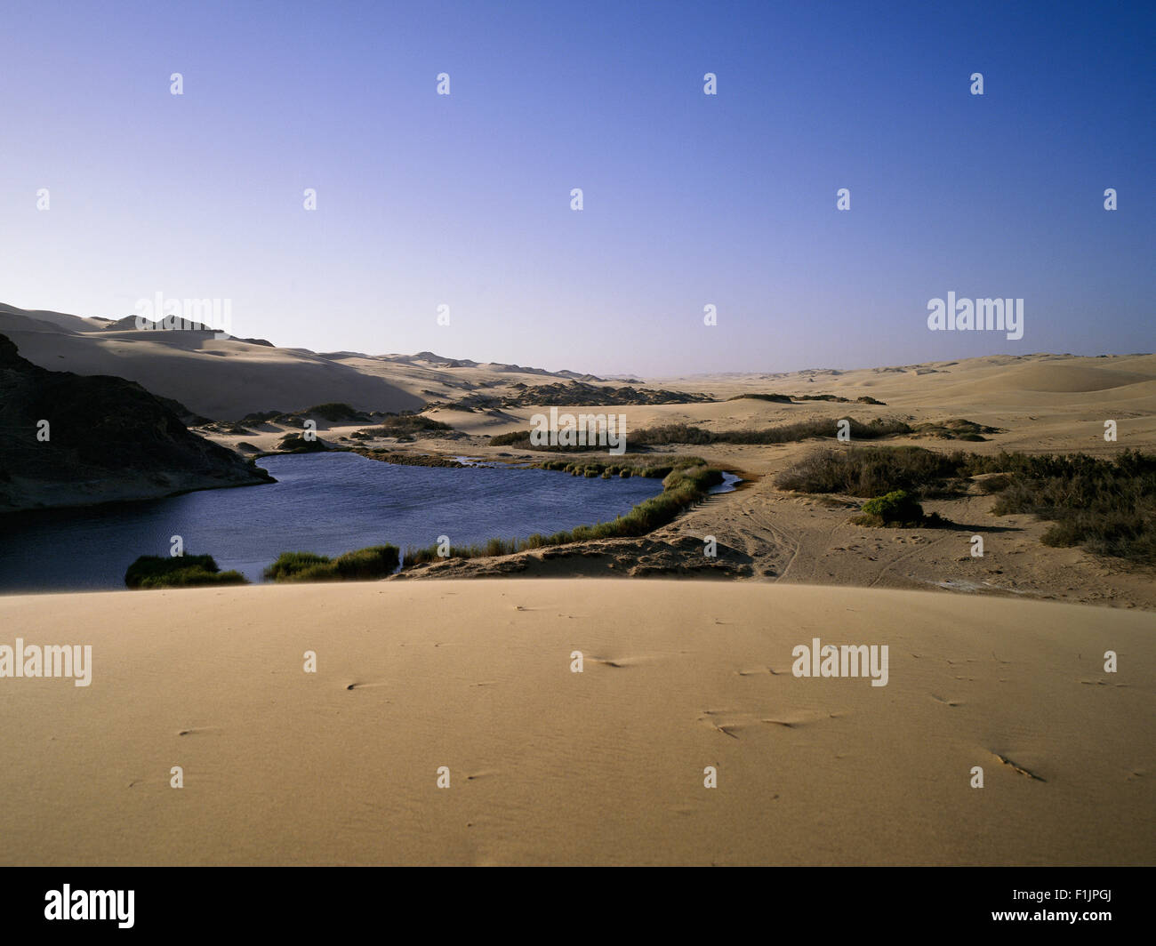 Namibia coast hi-res stock photography and images - Alamy