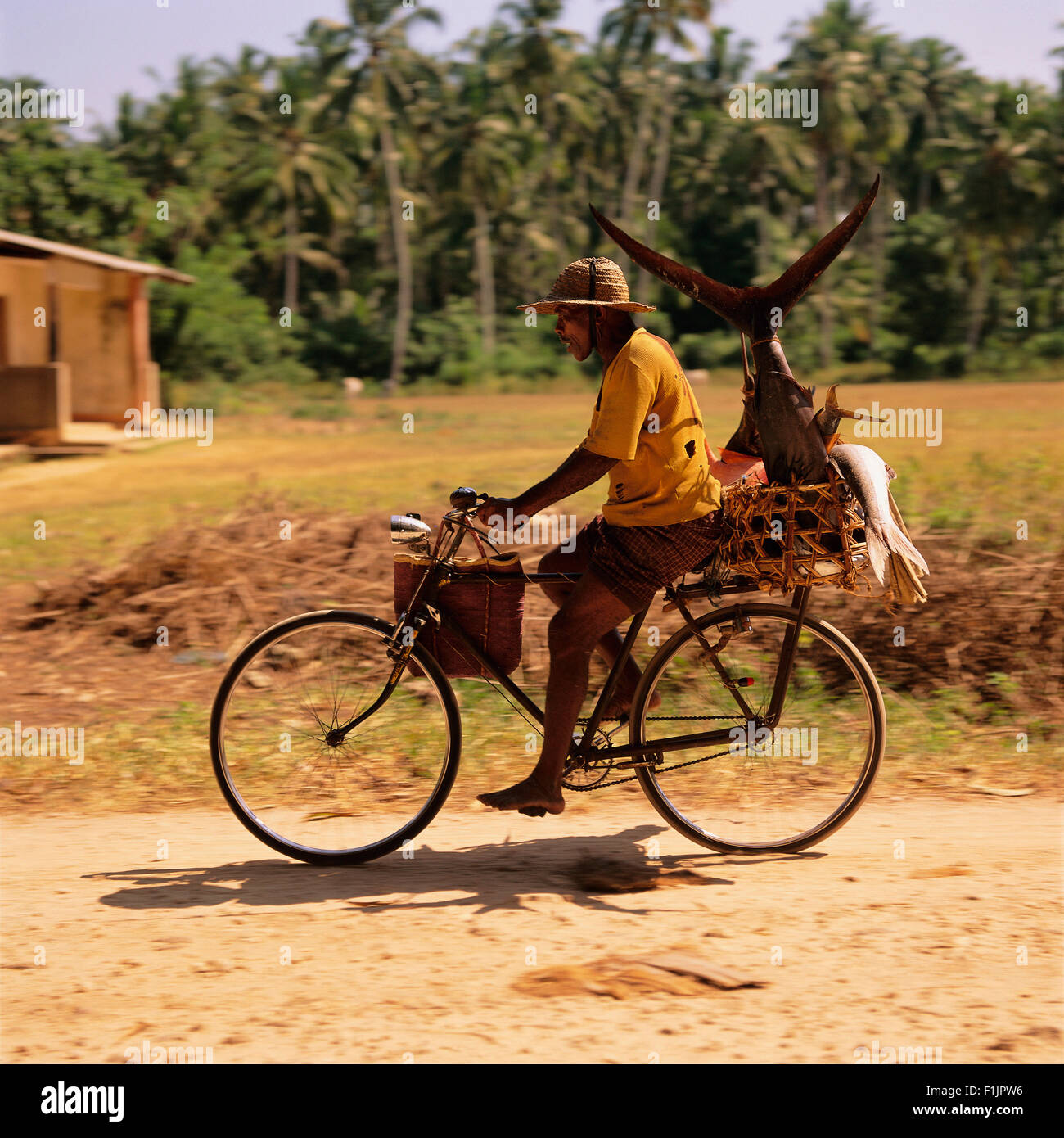 Man on Bike, Tanzania, Africa Stock Photo - Alamy