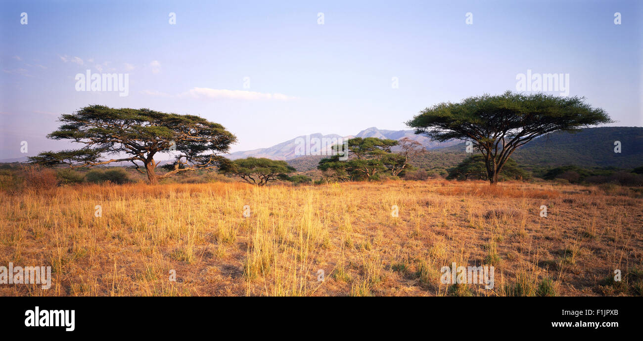 African scenic scenic hi-res stock photography and images - Alamy