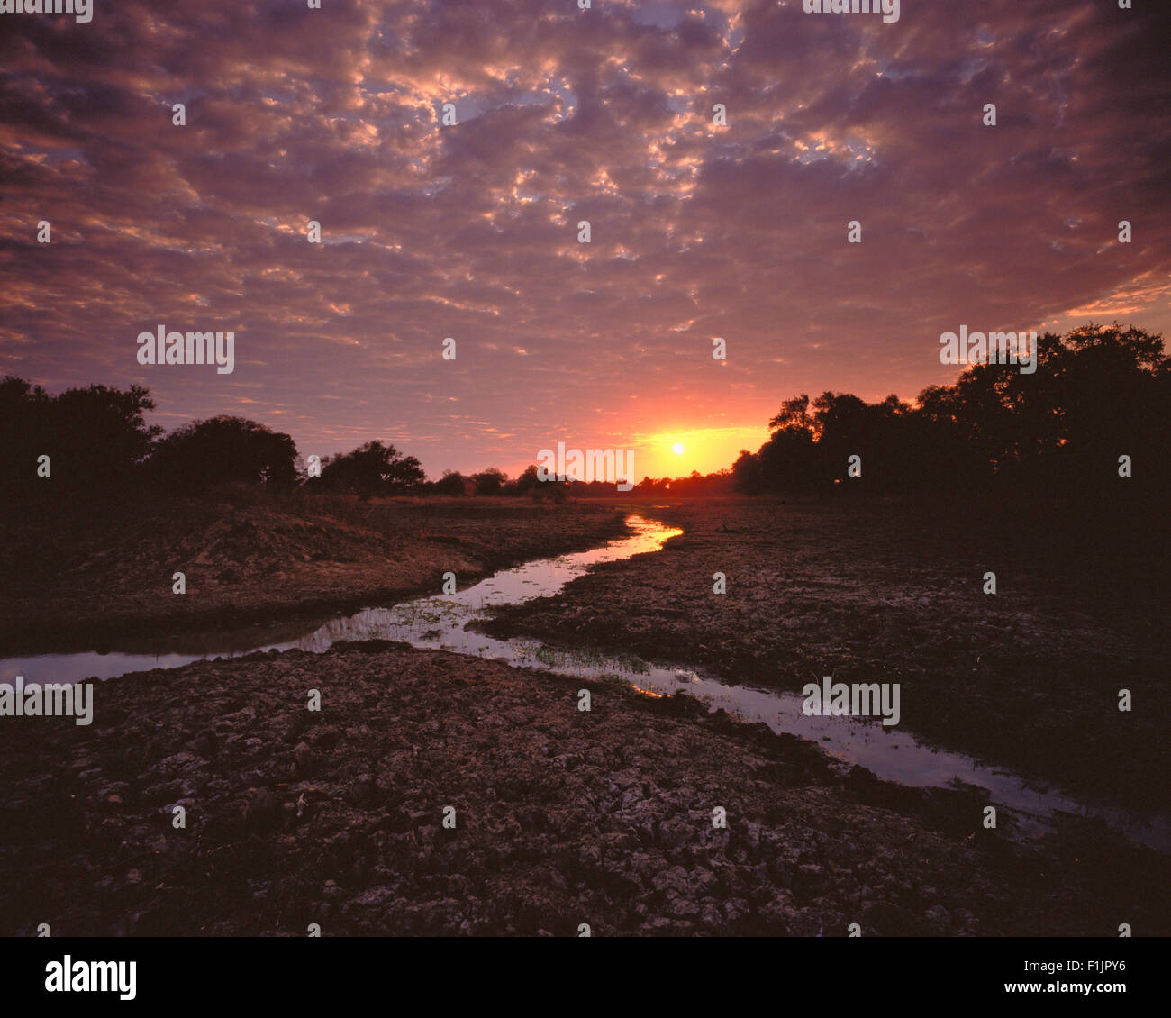 Sunset over Luangwa Valley Zambia, Africa Stock Photo - Alamy