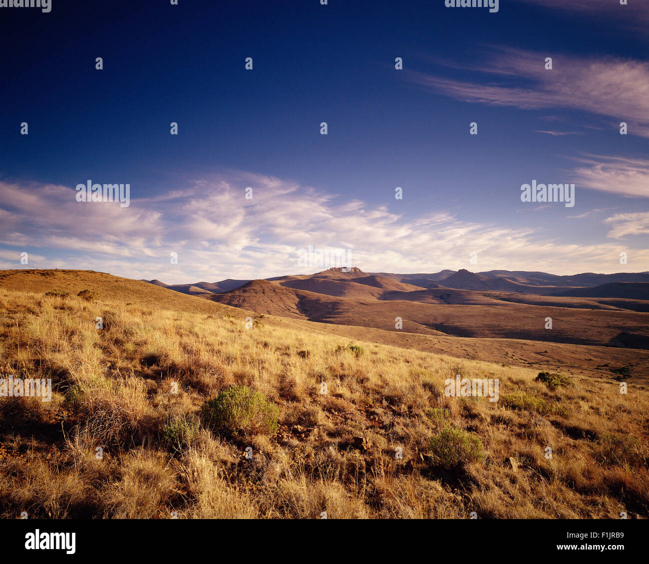 Cradock hi-res stock photography and images - Alamy
