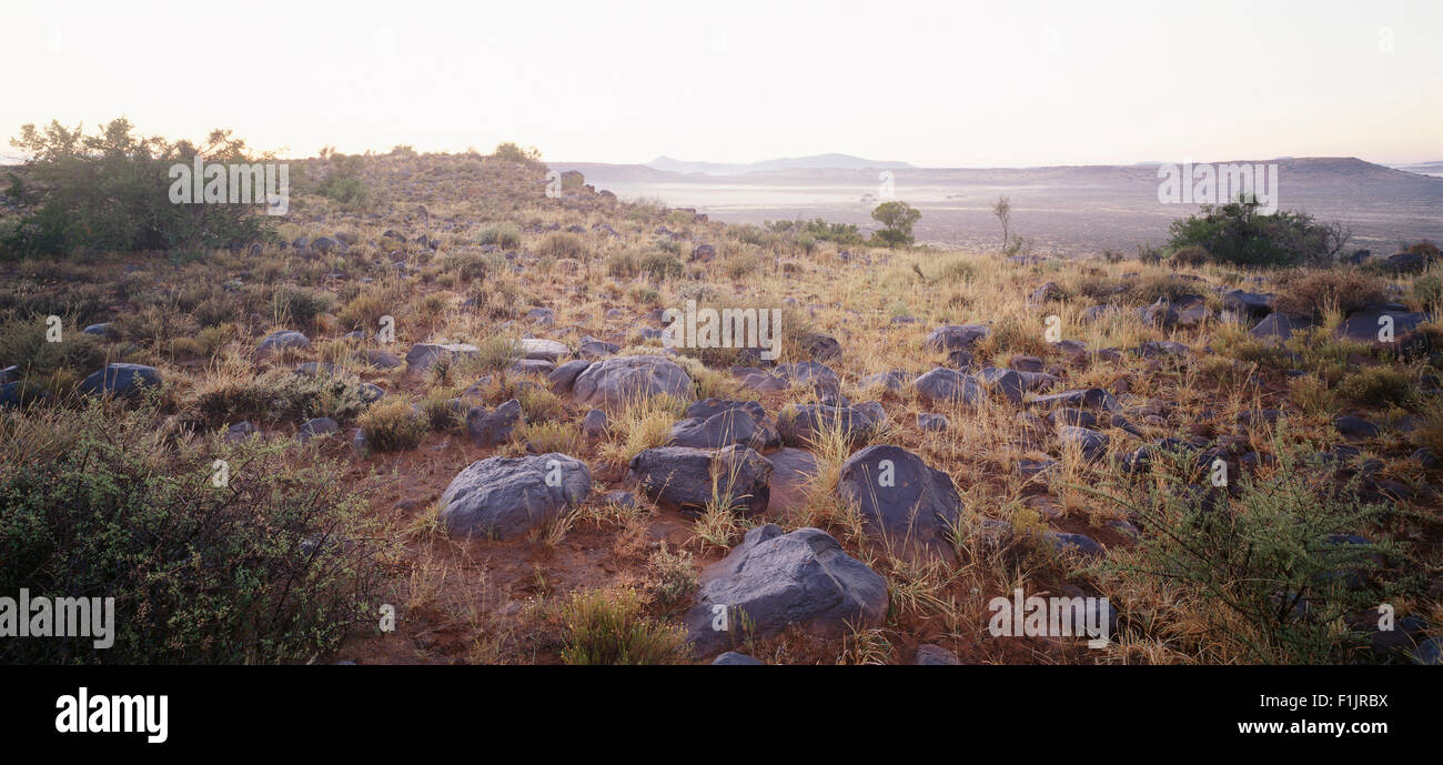 Cradock hi-res stock photography and images - Alamy