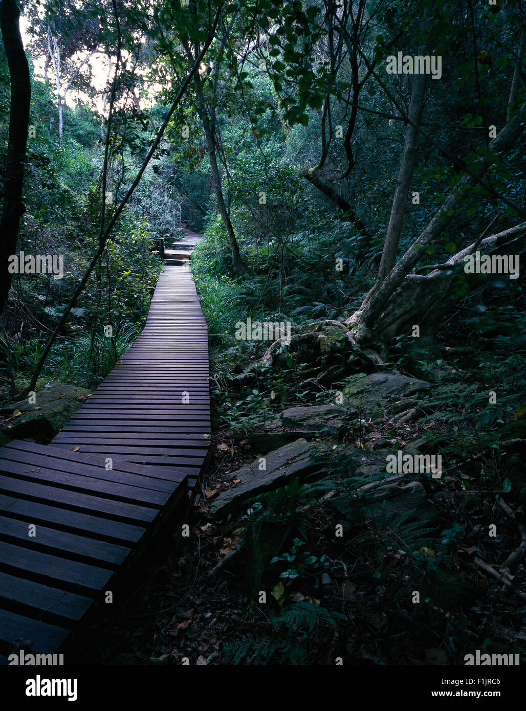 Wooden walkway river hi-res stock photography and images - Alamy
