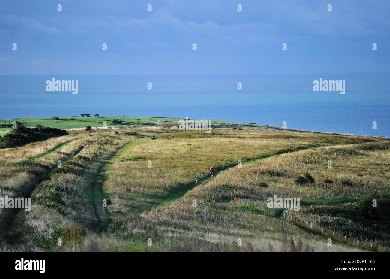 Brighton, UK. 3rd September, 2015. A notice warning has been placed by ...