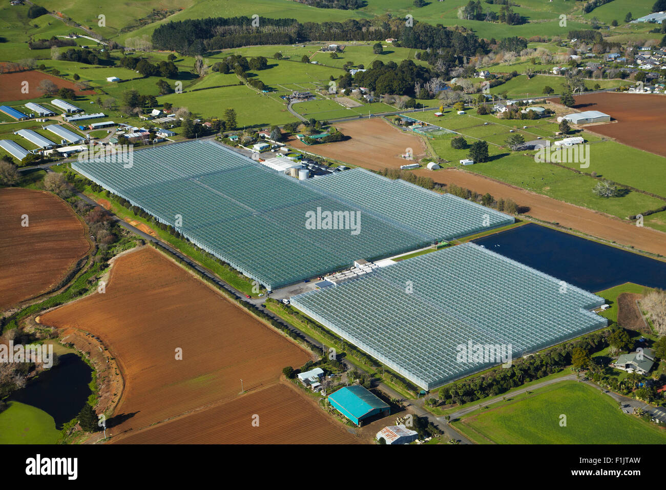 Status Produce glasshouses near Pukekohe, South Auckland, North Island ...