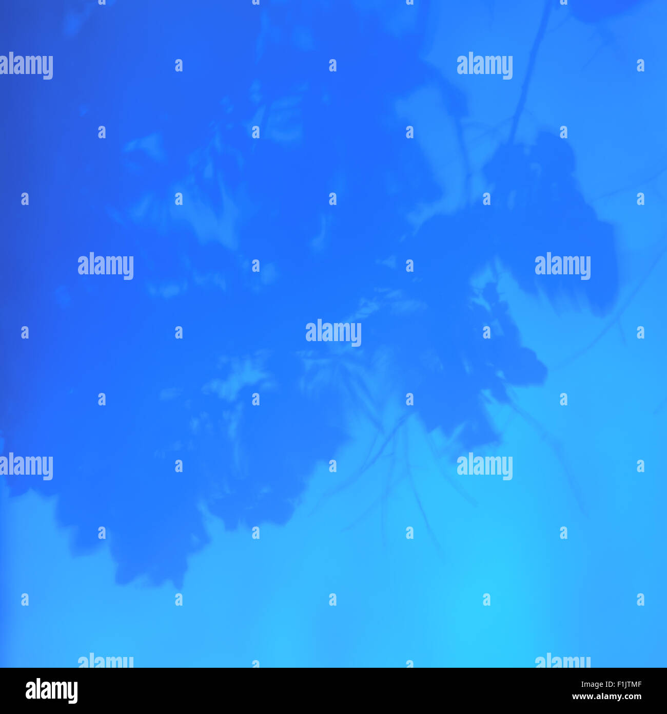 Tree through blue stained glass windows in tomb in cemetery in Bordeaux ...