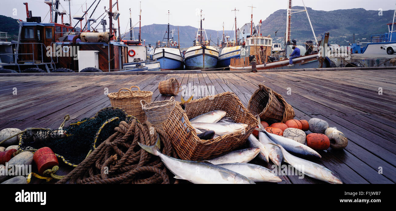 Fish on boat south africa hi-res stock photography and images - Alamy