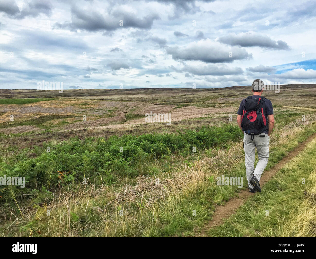 Man walking on the moors in Yorkshire Stock Photo - Alamy
