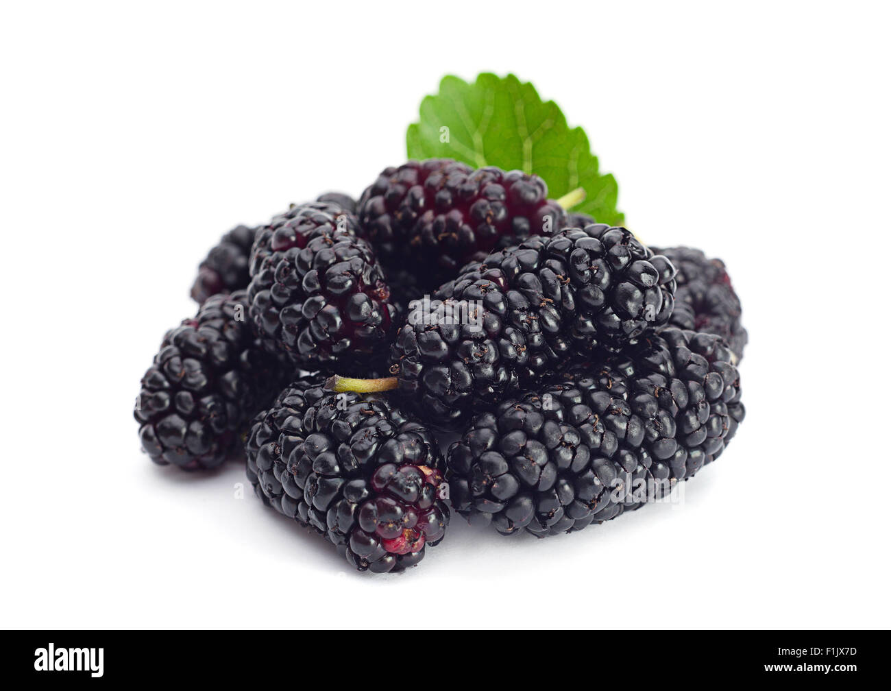 Black mulberry fruit hi-res stock photography and images - Alamy