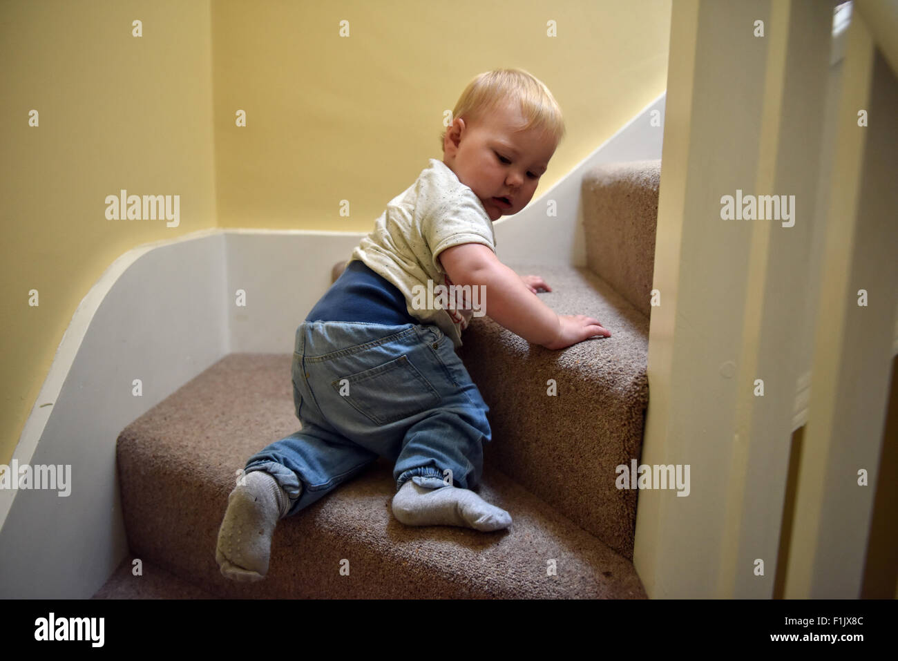 A one year old child climbing (up-down) the stairs in her home Stock ...