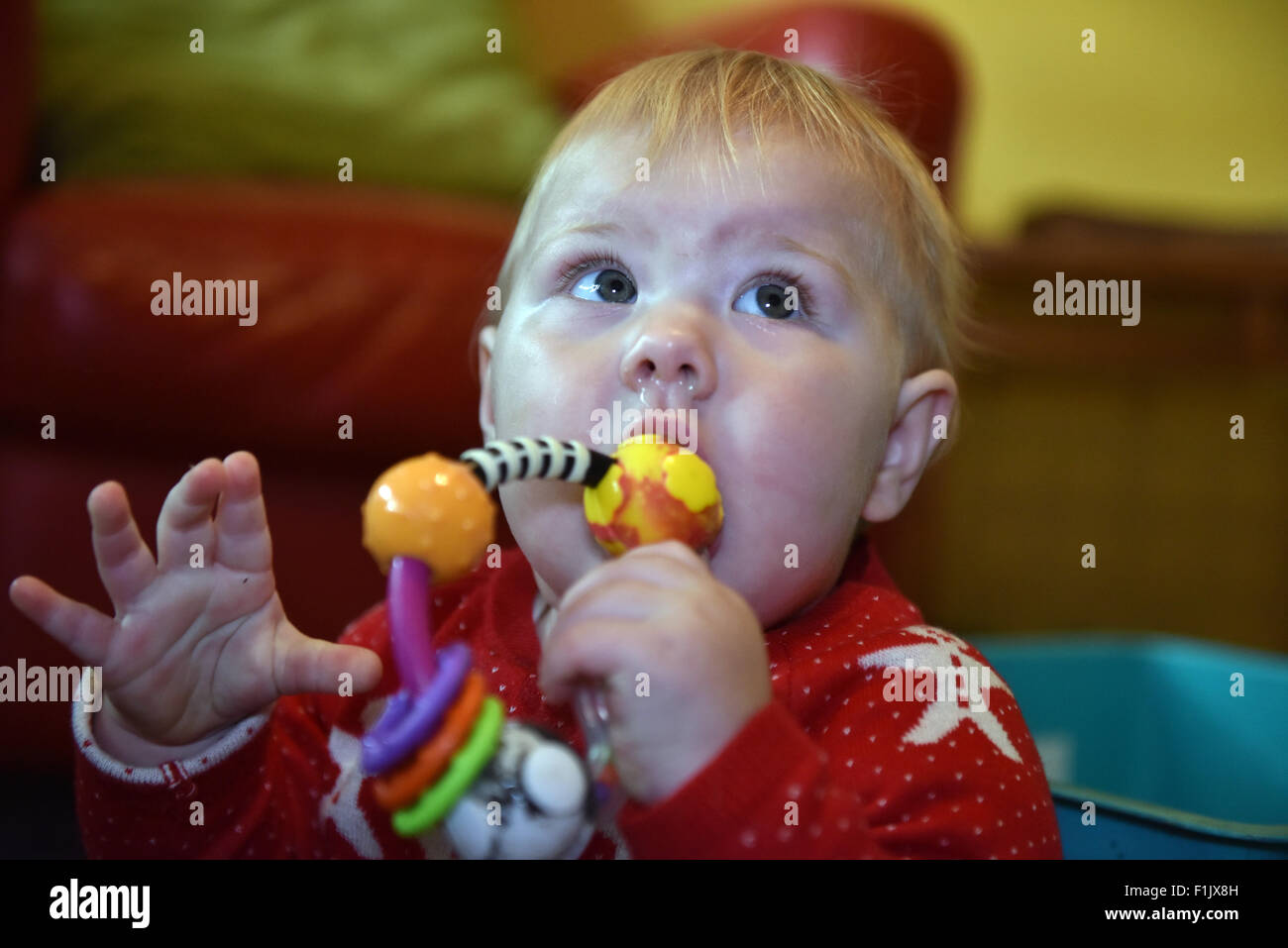 A teething eleven month old baby biting on a teething ring to alleviate ...