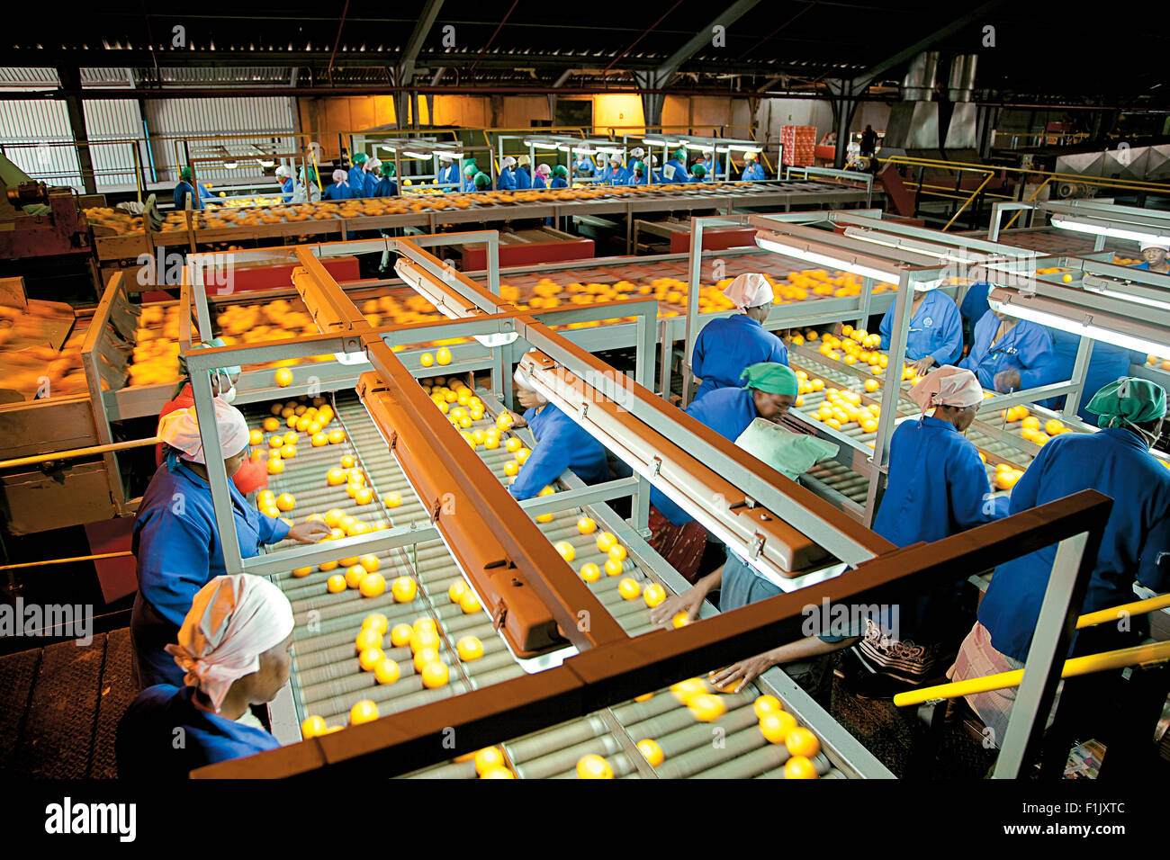 Letaba Packhouse, Letaba, Limpopo Stock Photo - Alamy