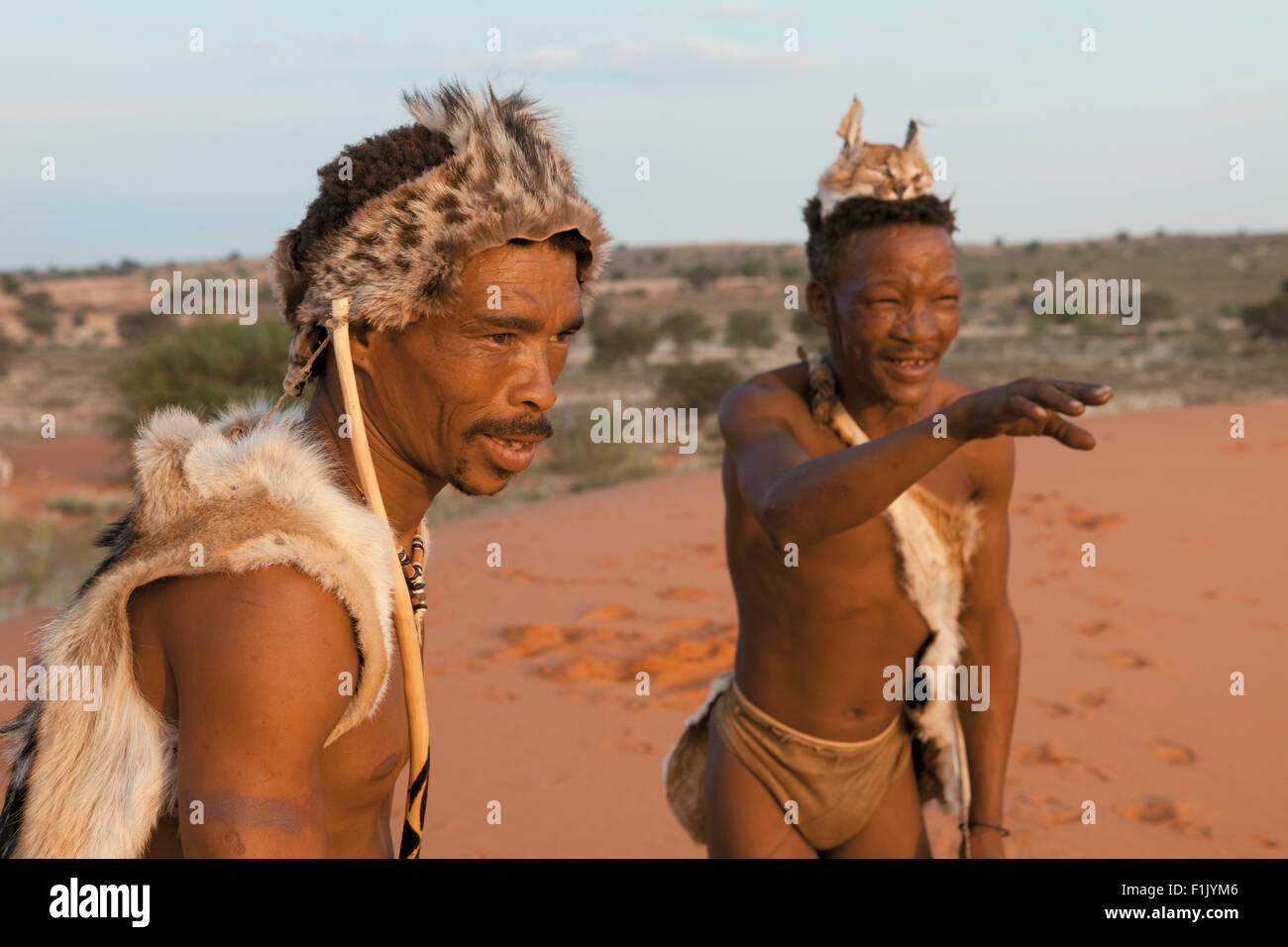 Bushmen tracking game Stock Photo - Alamy