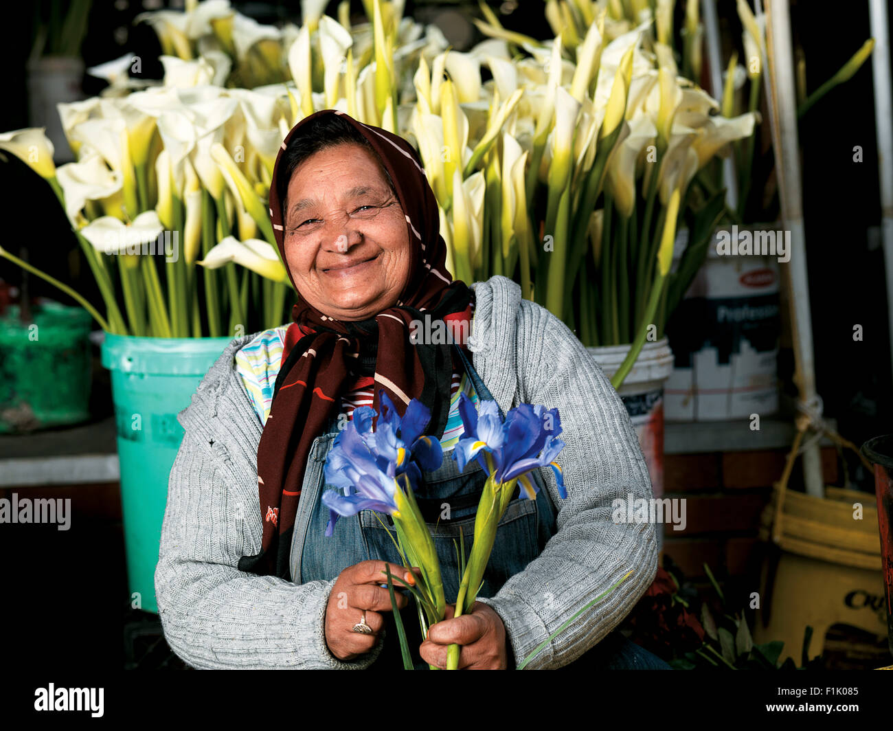 Adderley flower hi-res stock photography and images - Alamy