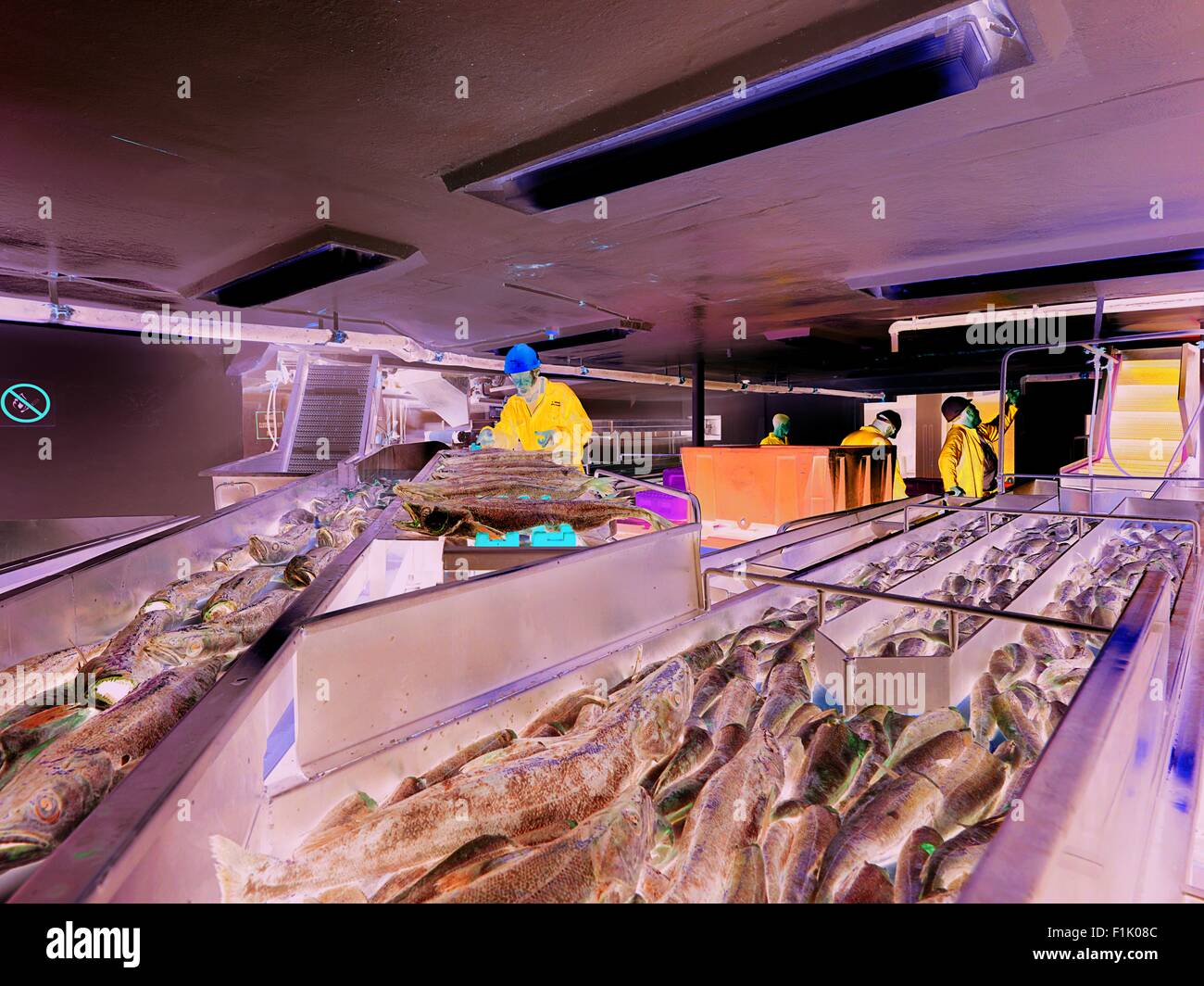 Hake Fishing Vessel, Sea Harvest Stock Photo - Alamy