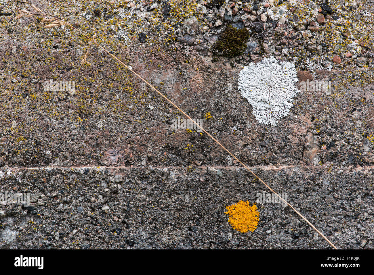 Czech university of life sciences prague hi-res stock photography and ...