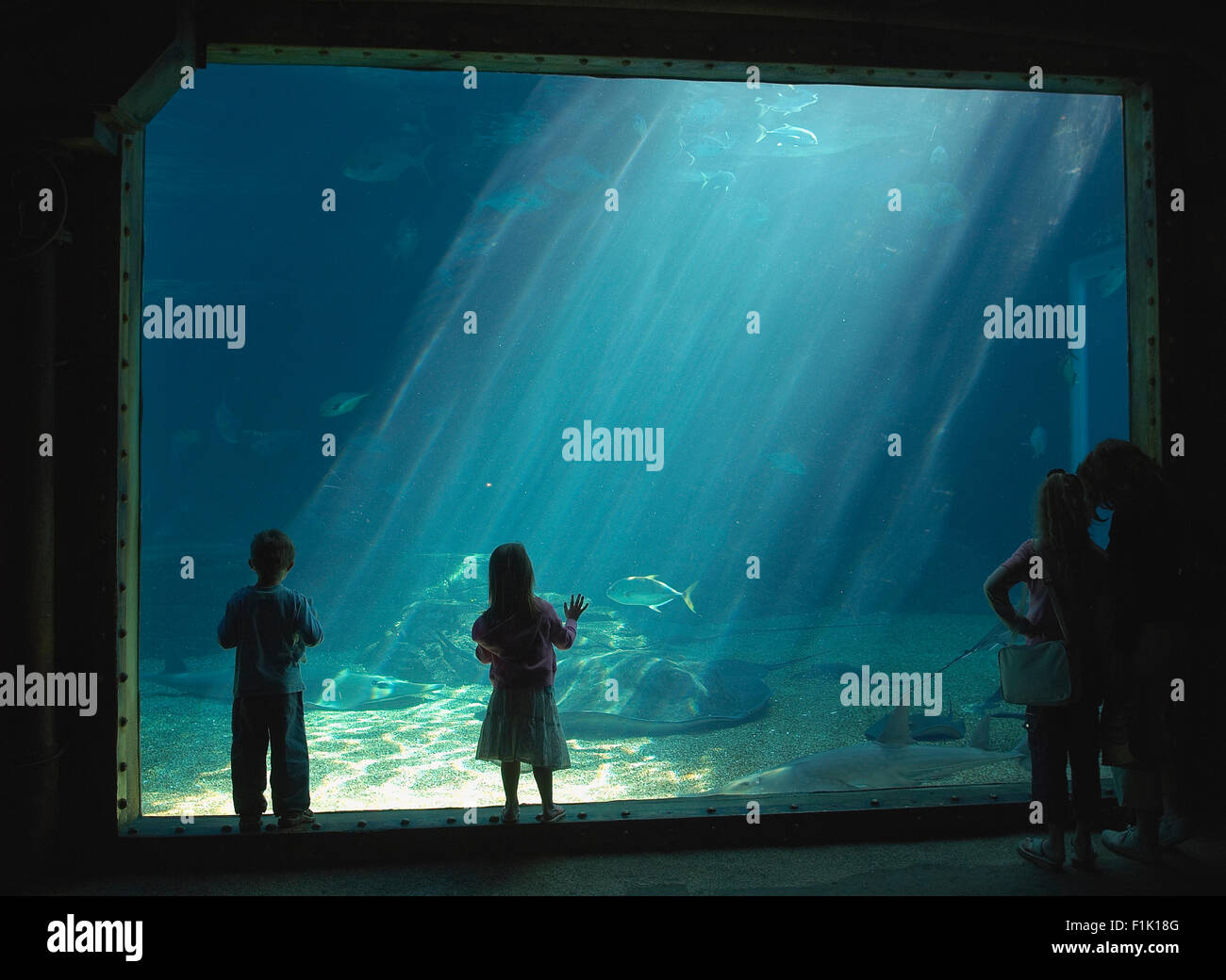 Ushaka marine theme park hi-res stock photography and images - Alamy