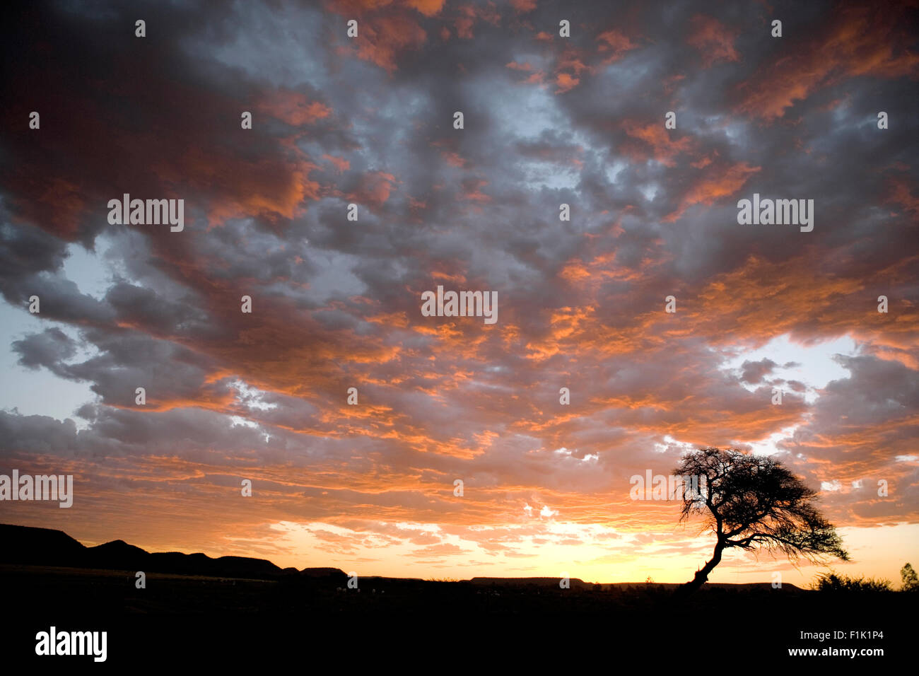 Sunset, Northern Cape, South Africa Stock Photo - Alamy