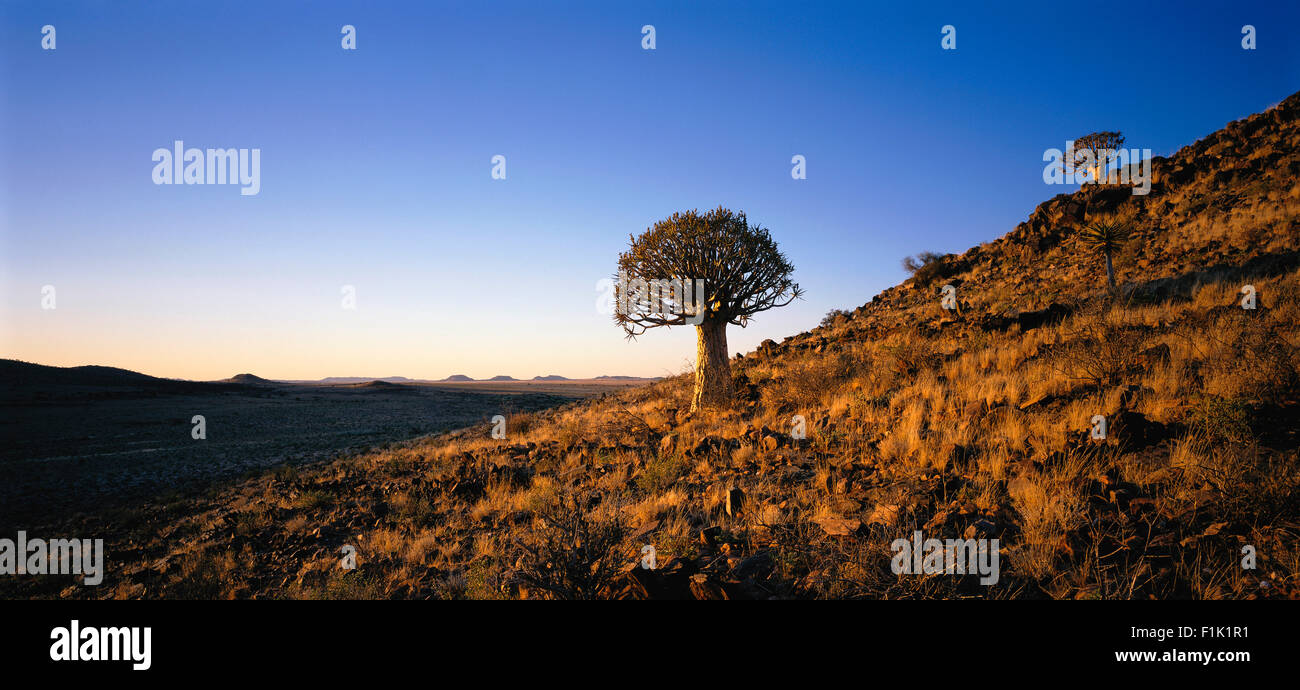 Scenic northern cape hi-res stock photography and images - Alamy