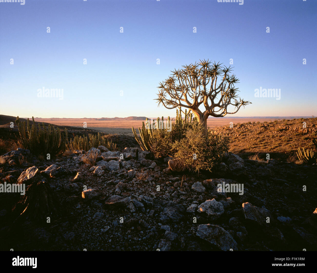 Kakamas hi-res stock photography and images - Alamy