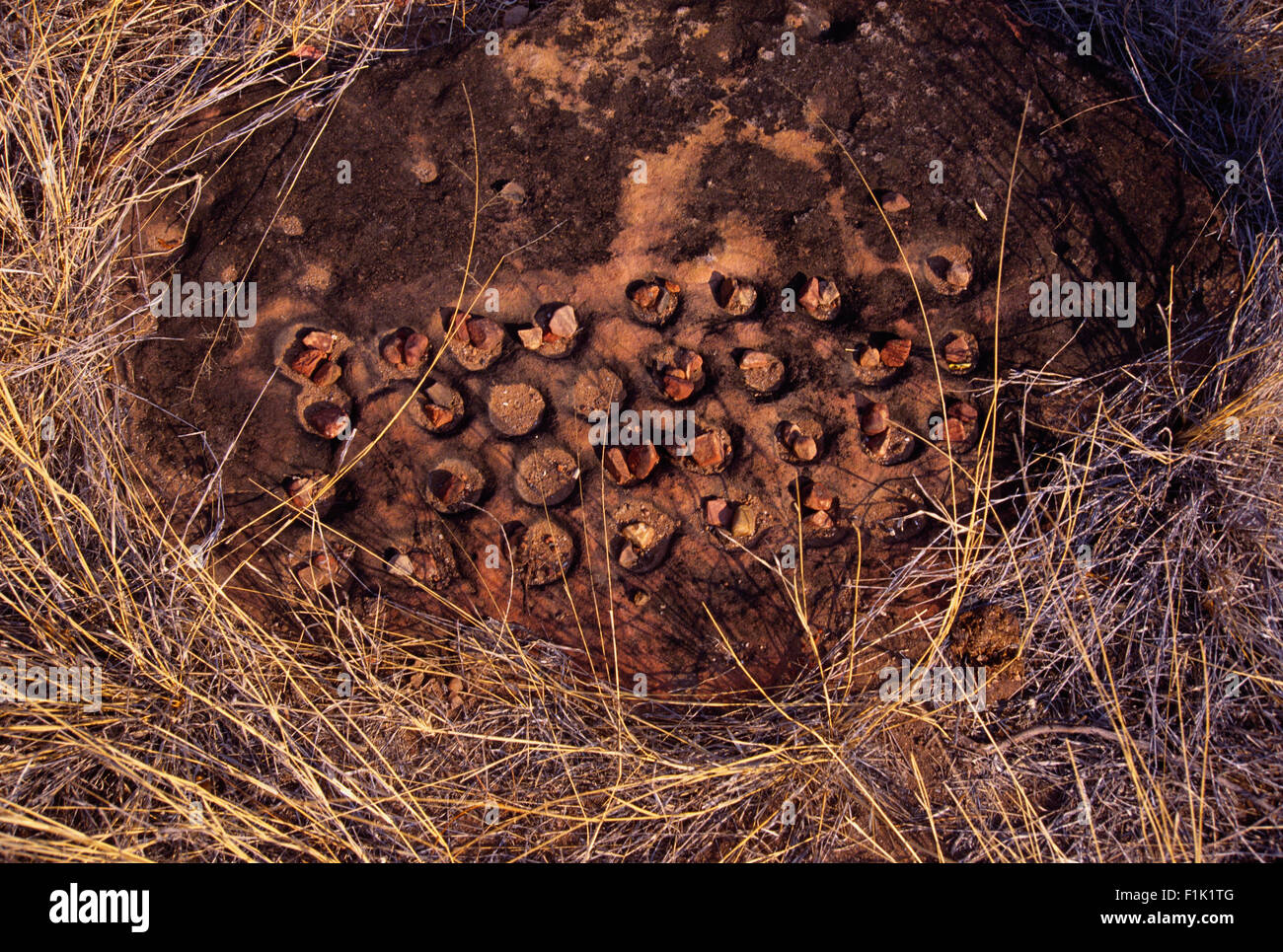 Morabaraba, a traditional African strategy board game, Kruger National ...