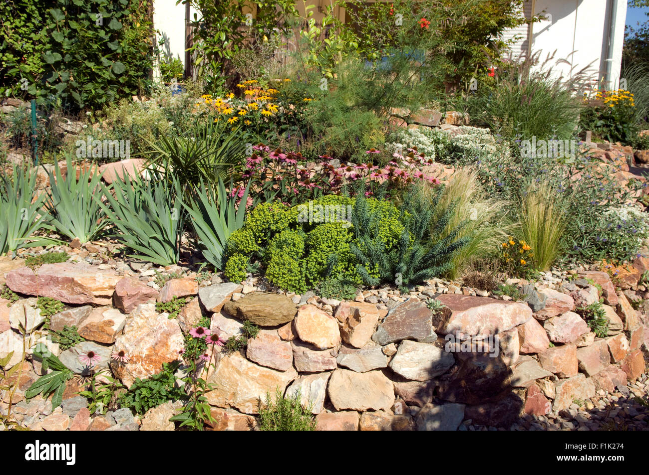 Mauer bepflanzung hi-res stock photography and images - Alamy