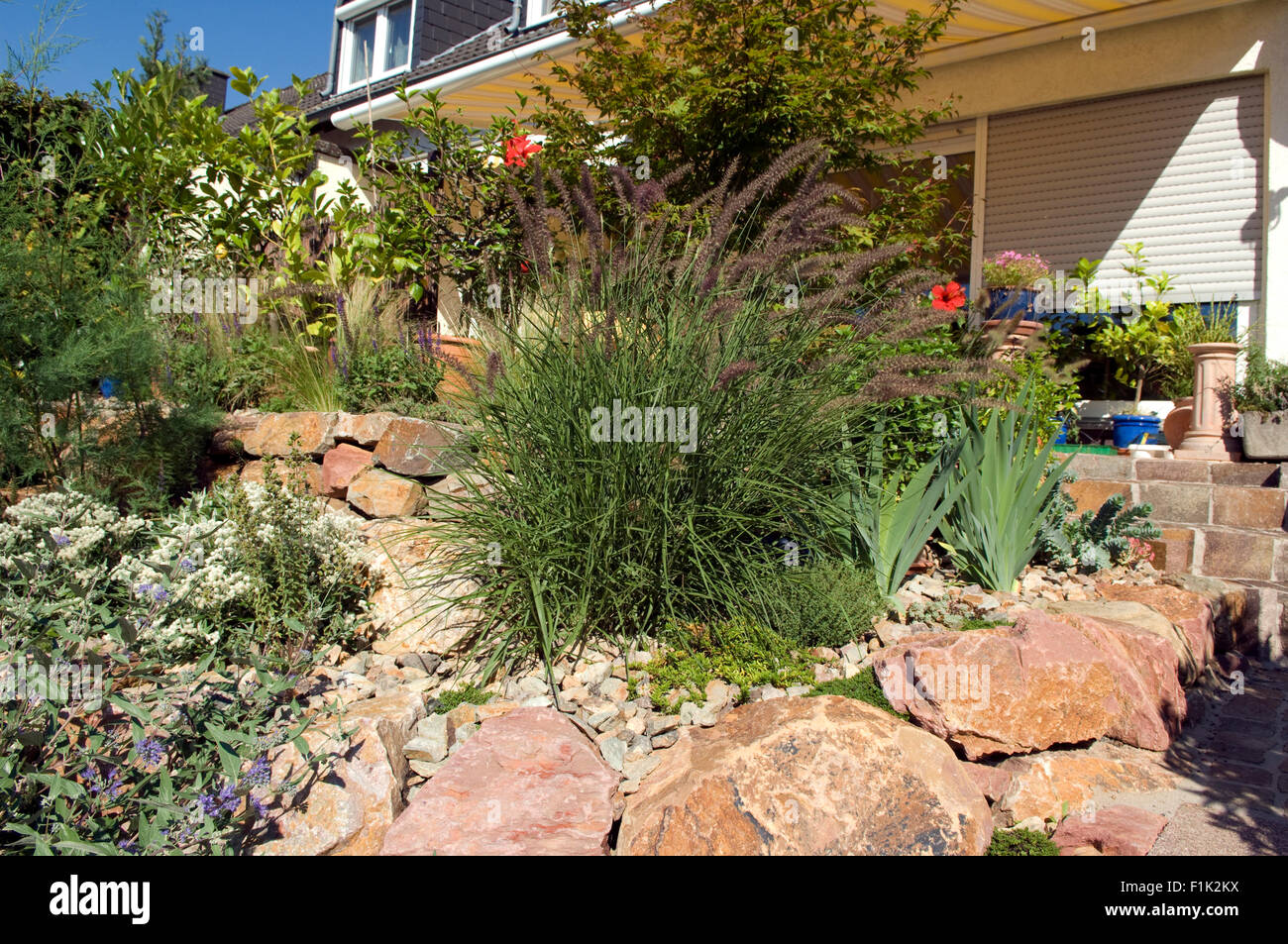 Mauer bepflanzung hi-res stock photography and images - Alamy