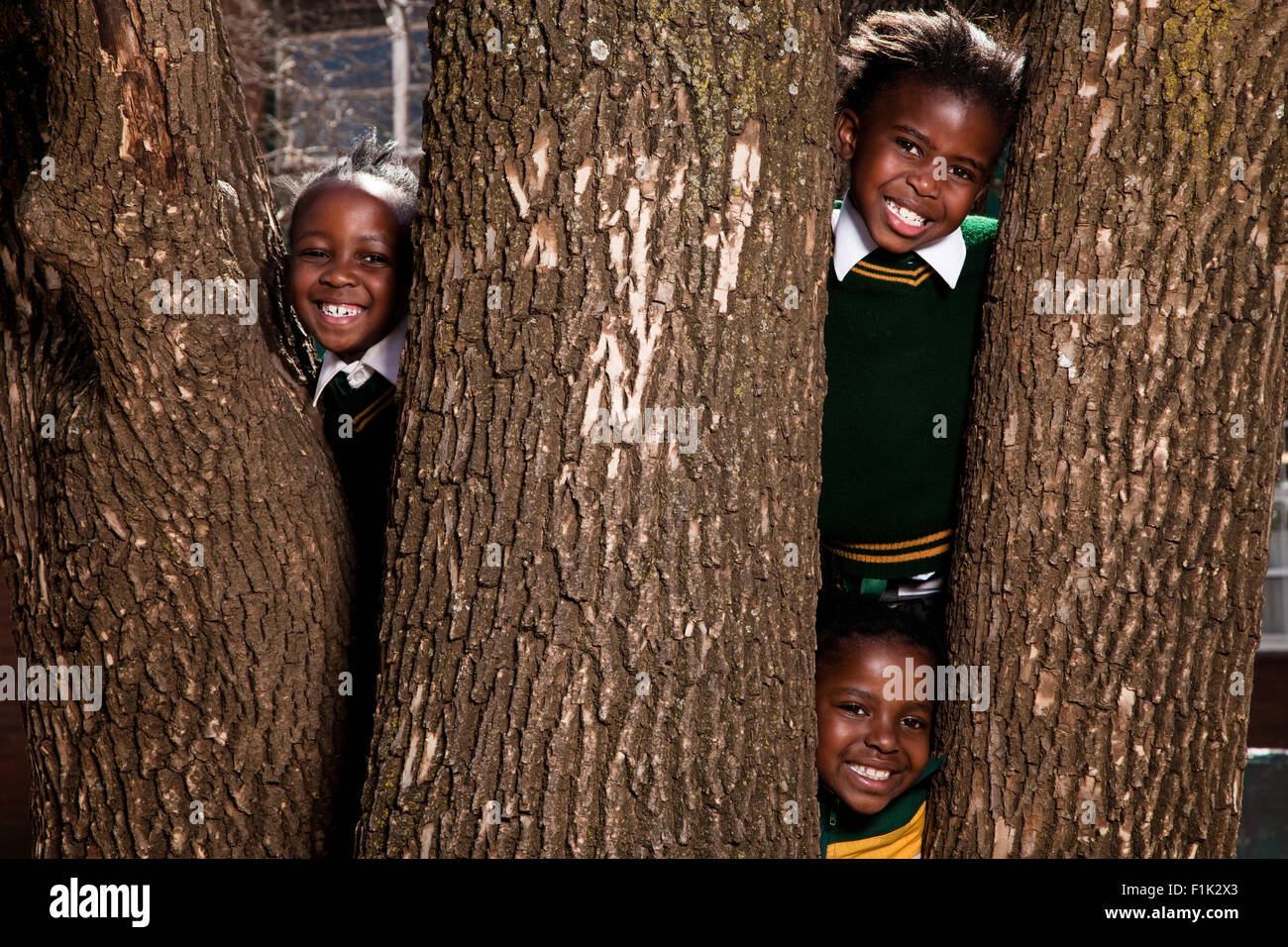 Meyerton primary school hi-res stock photography and images - Alamy
