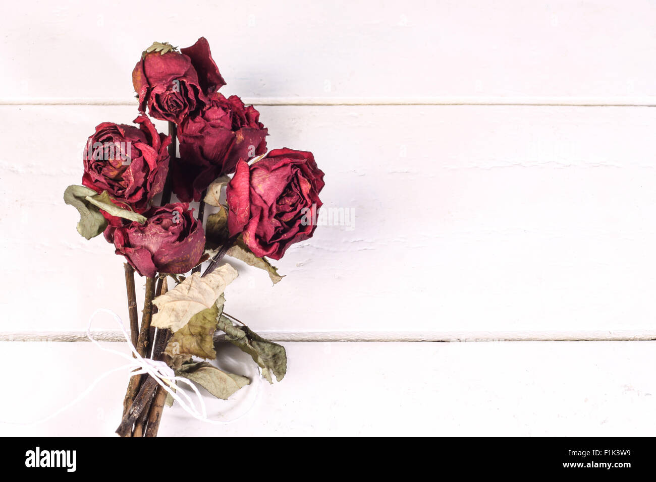 red dried rose bouquet being tied with rope. Isolated on white wooden ...