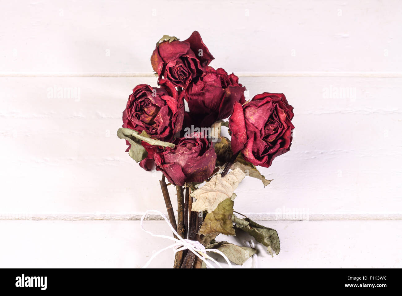 red dried rose bouquet being tied with rope. Isolated on white wooden ...