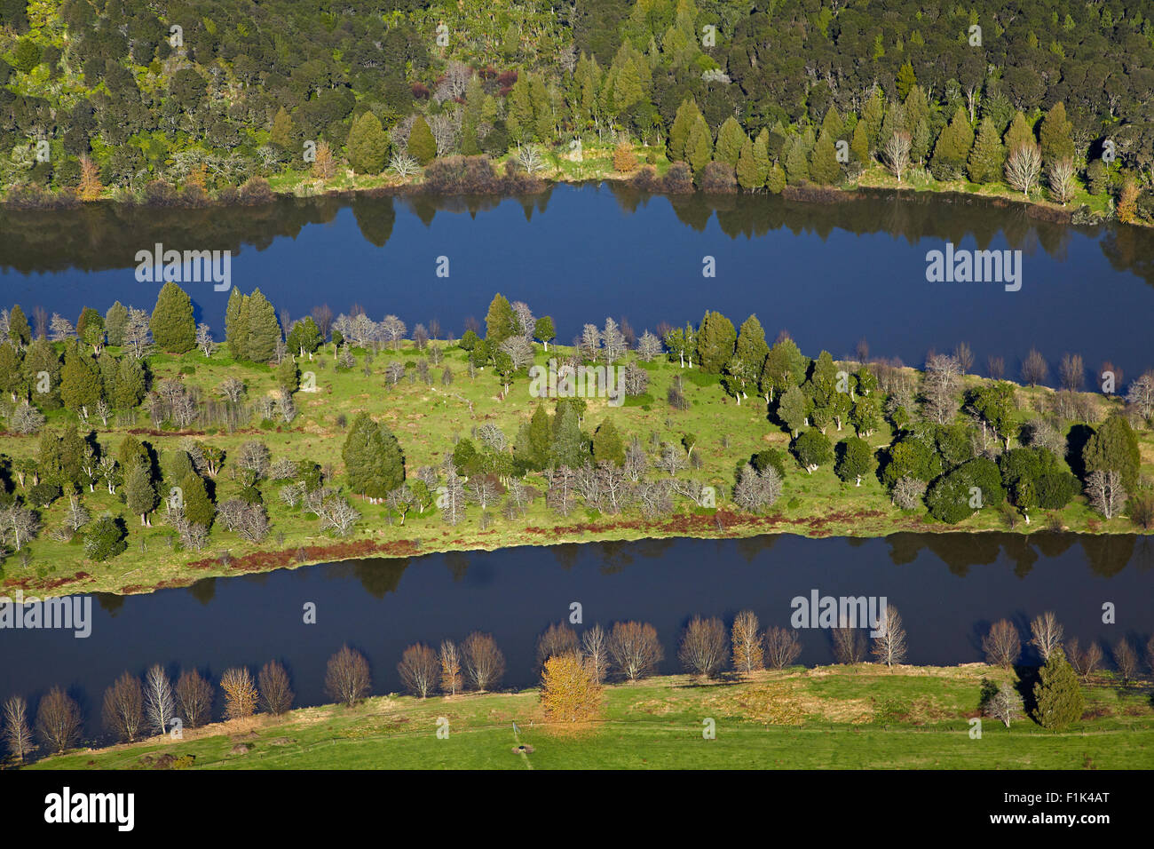 Waikato River near Mercer, South Auckland, North Island, New Zealand ...