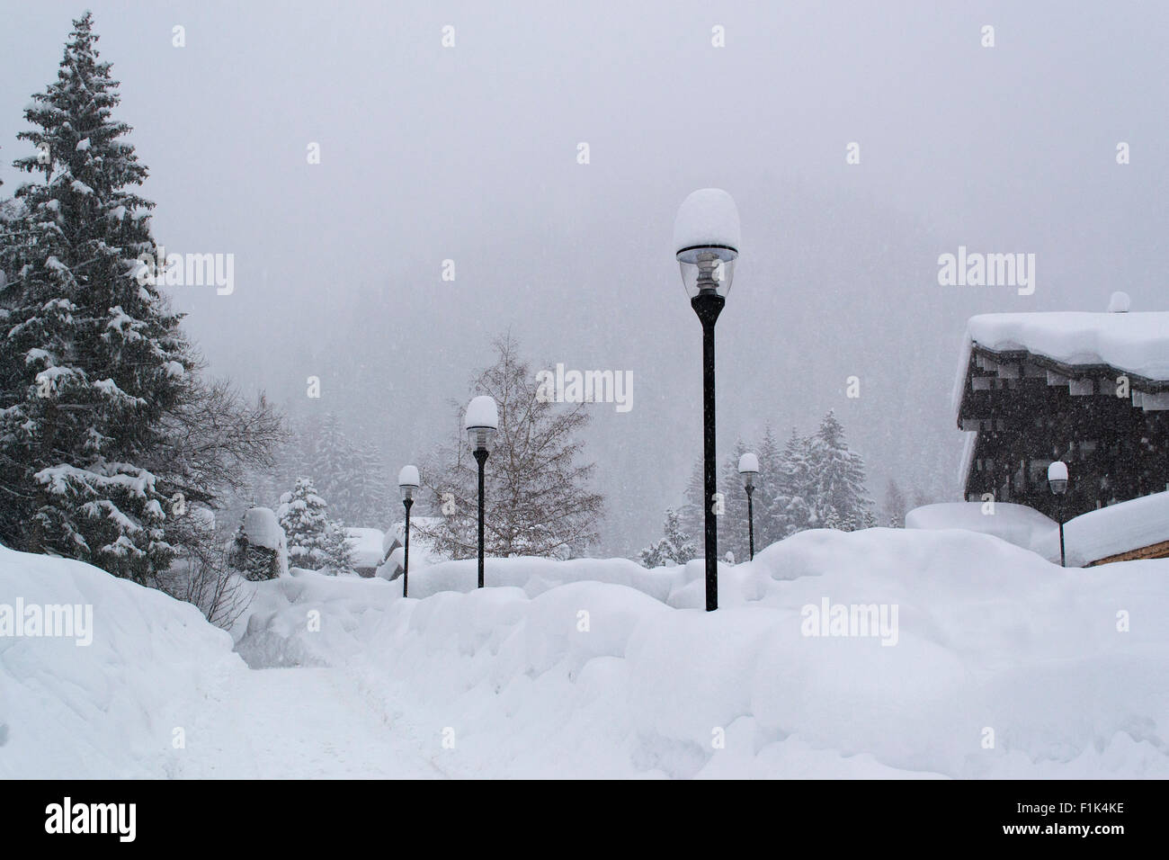 The silence of snowfall hi-res stock photography and images - Alamy