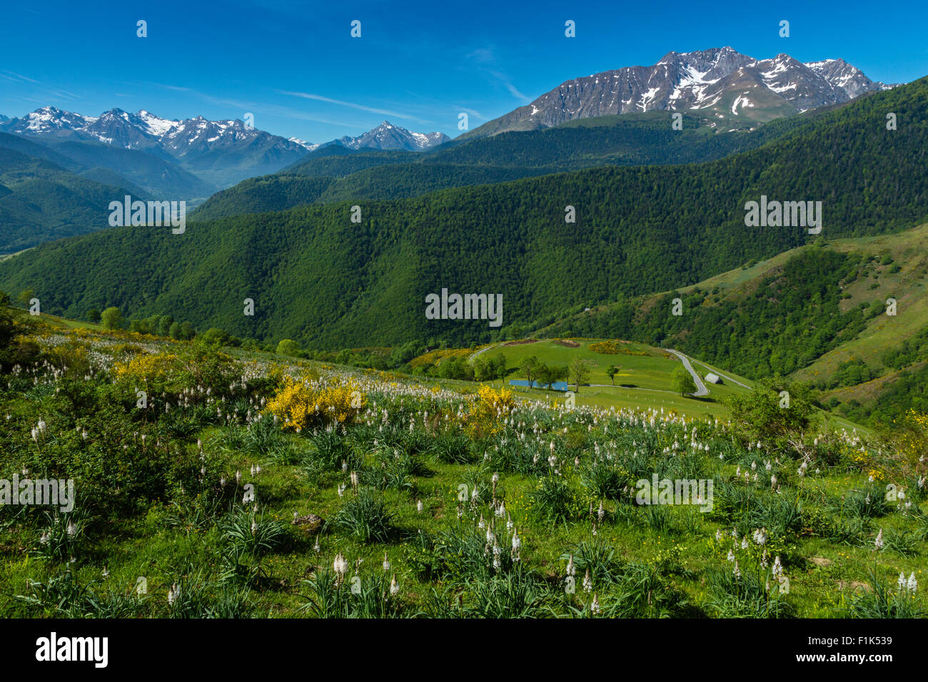 The road to col d Aspin, national park of Pyrenees, Hautes Pyrenees ...