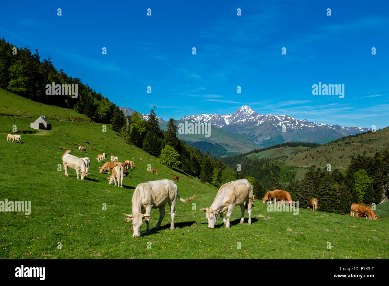 Col d aspin hi-res stock photography and images - Alamy