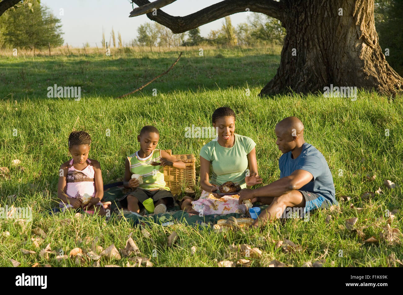 Black family picnic hi-res stock photography and images - Alamy
