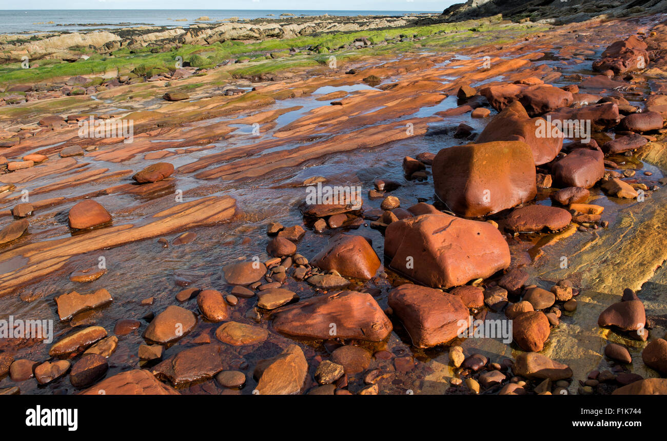 Sandstone shaped by sea erosion hi-res stock photography and images - Alamy