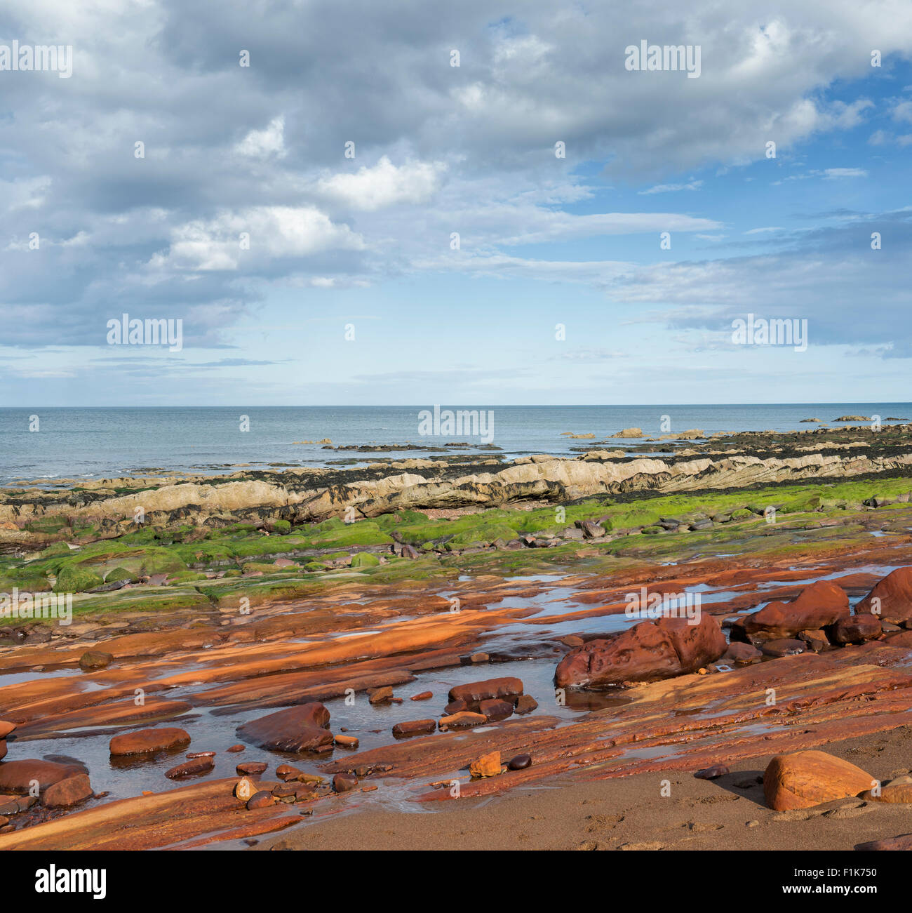 Spittal Northumberland Stock Photos & Spittal Northumberland Stock ...