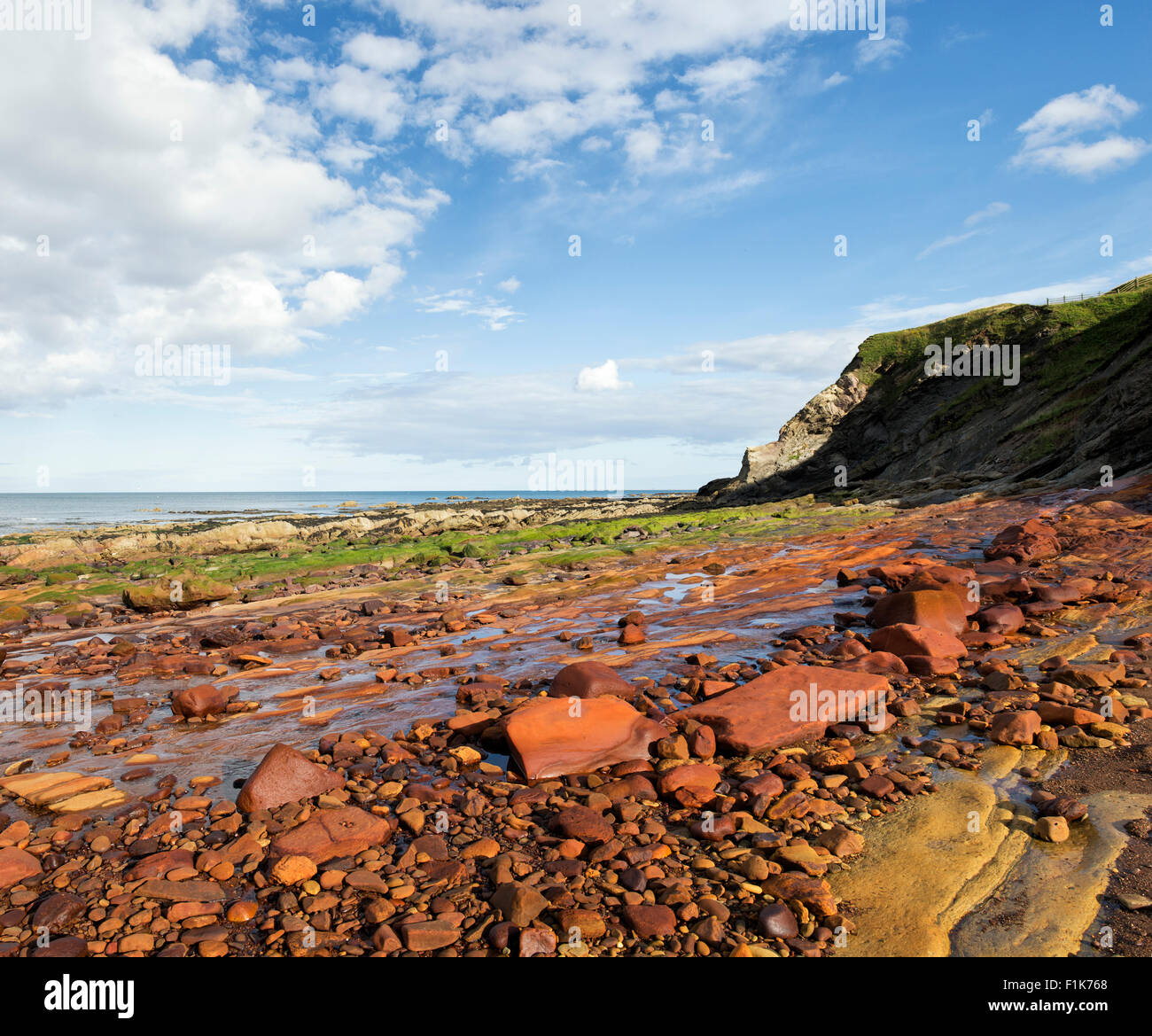 Sandstone rock coast rocks hi-res stock photography and images - Alamy