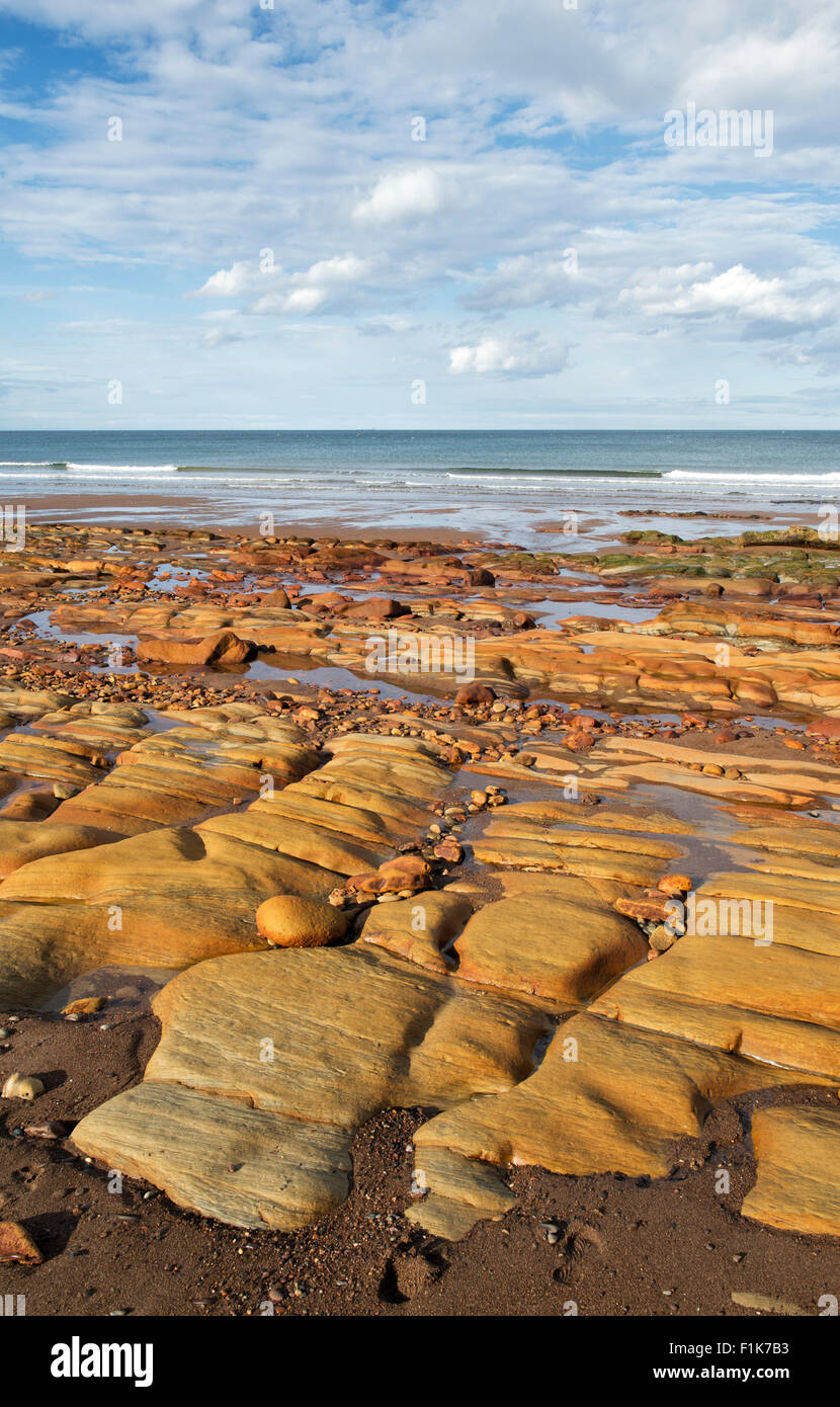 Spittal Beach Stock Photos & Spittal Beach Stock Images - Alamy