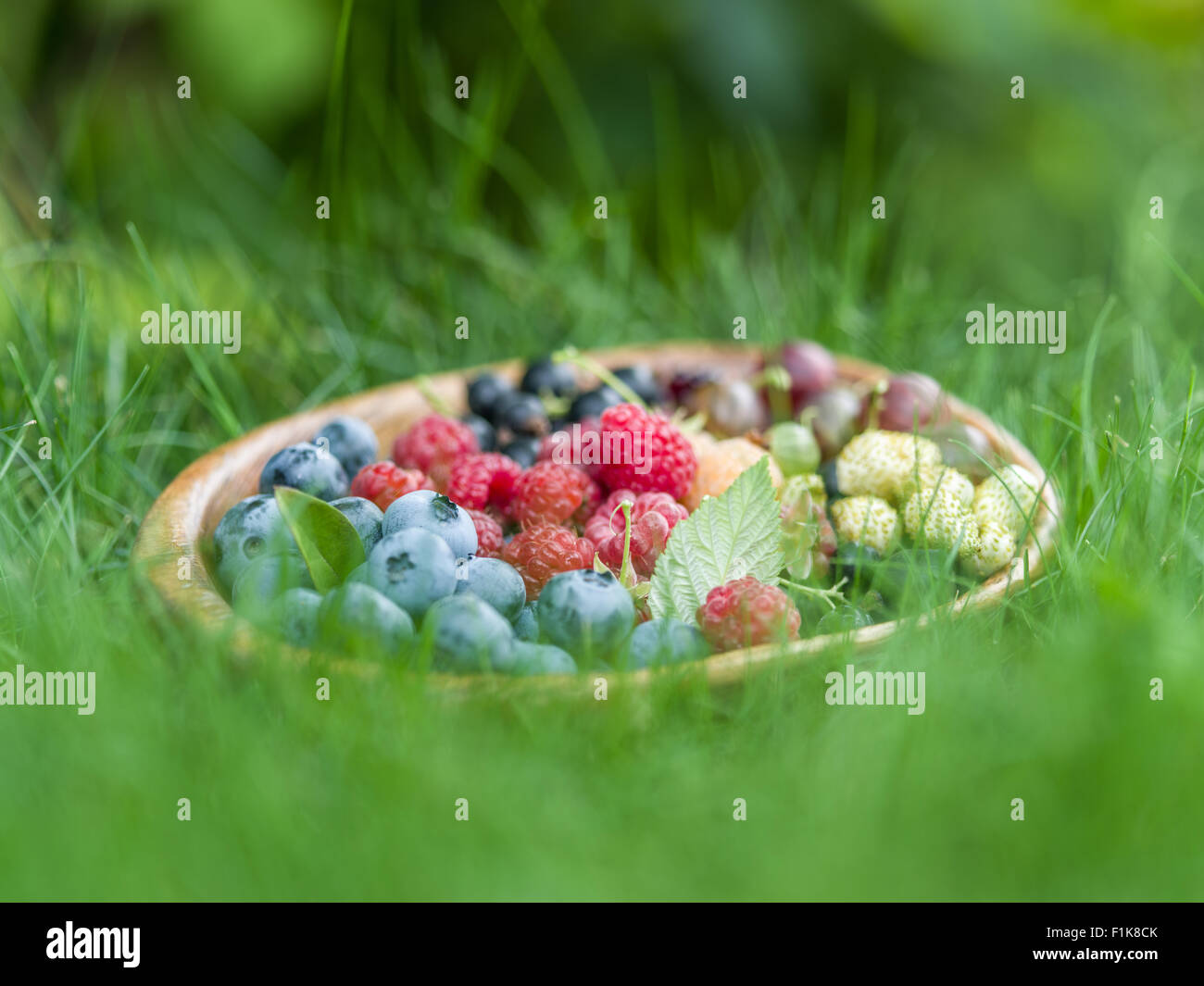 Ripe berries in the wooden bowl over green grass Stock Photo - Alamy