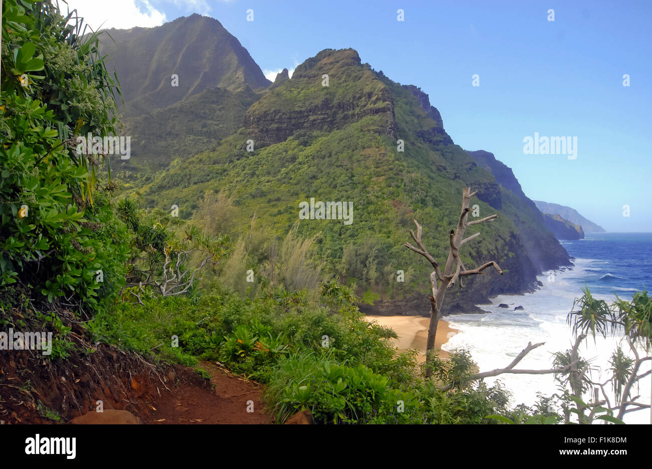 Hawaii Oahu Island Rainforest Stock Photos & Hawaii Oahu Island ...