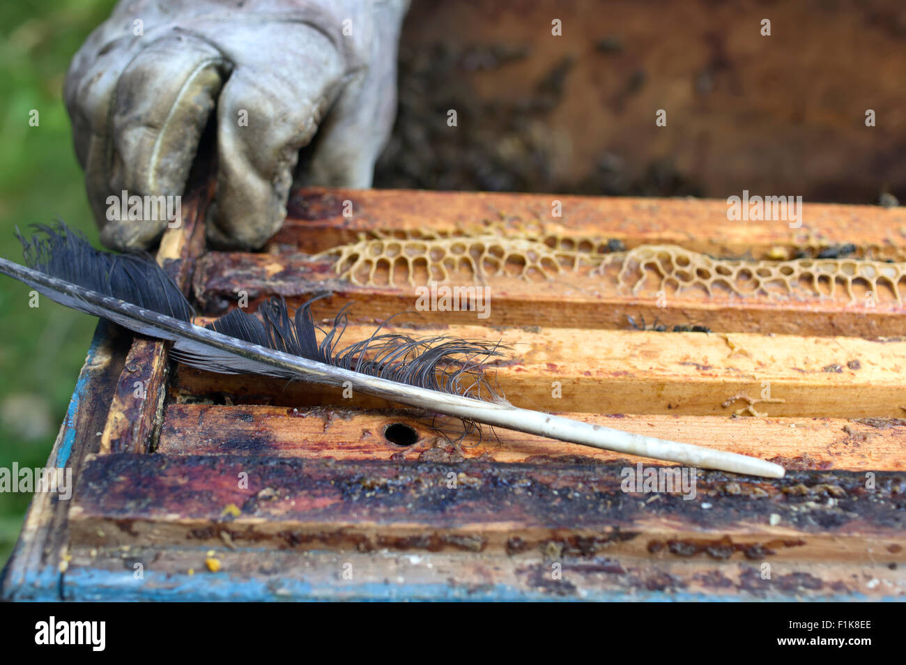 Human beehive hi-res stock photography and images - Alamy