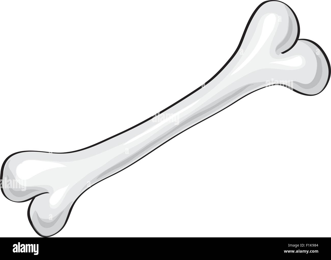 Bone. Vector Illustration Stock Vector Image & Art - Alamy
