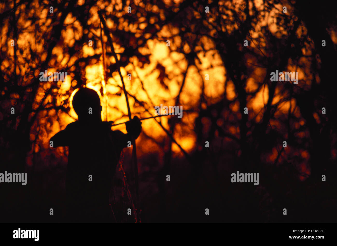 Native hunter stalking through bushes Stock Photo - Alamy