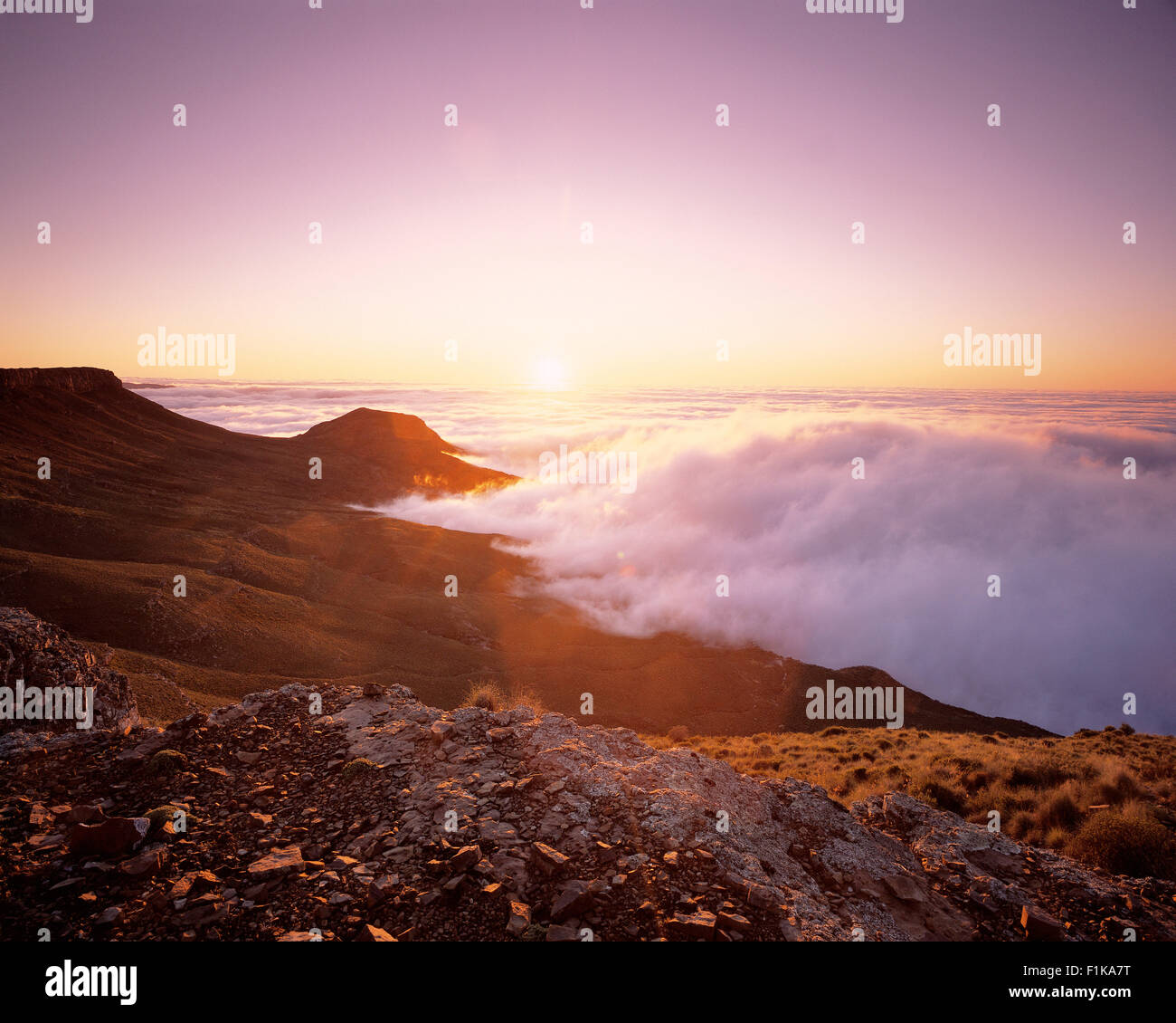 Karoo national park hi-res stock photography and images - Alamy