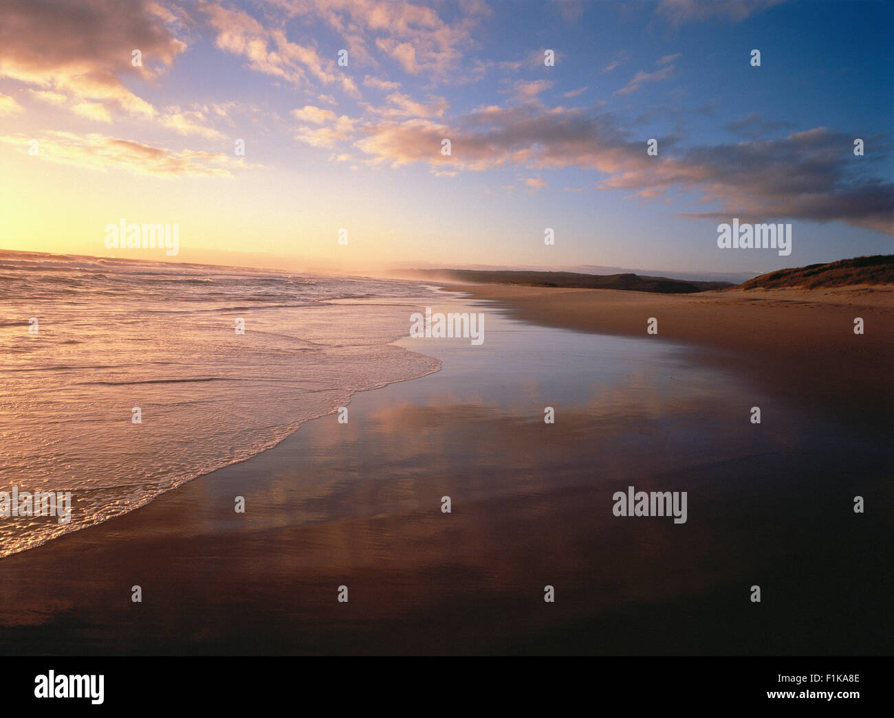 Sedgefield hi-res stock photography and images - Alamy