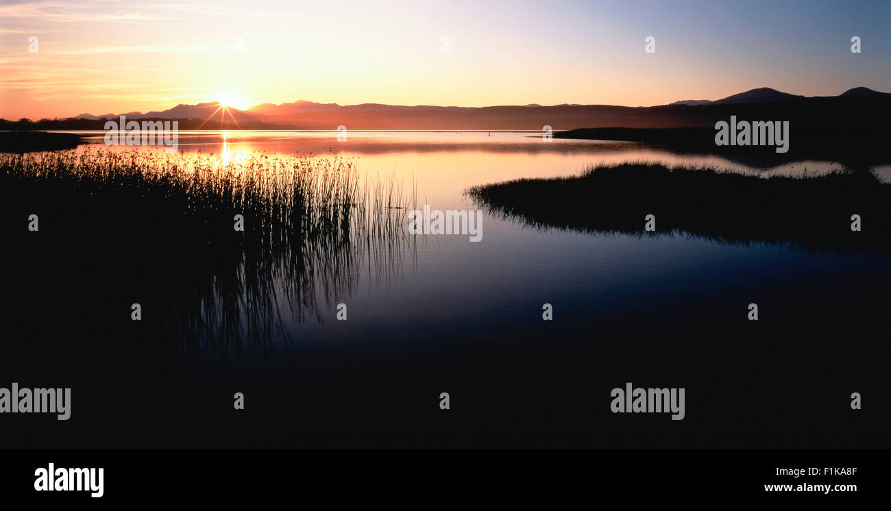 Sedgefield hi-res stock photography and images - Alamy