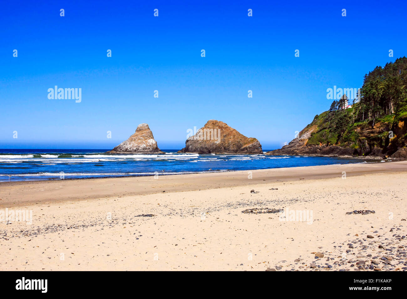 The Devil's Elbow State Park overlooks the Pacific coastline of Oregon ...