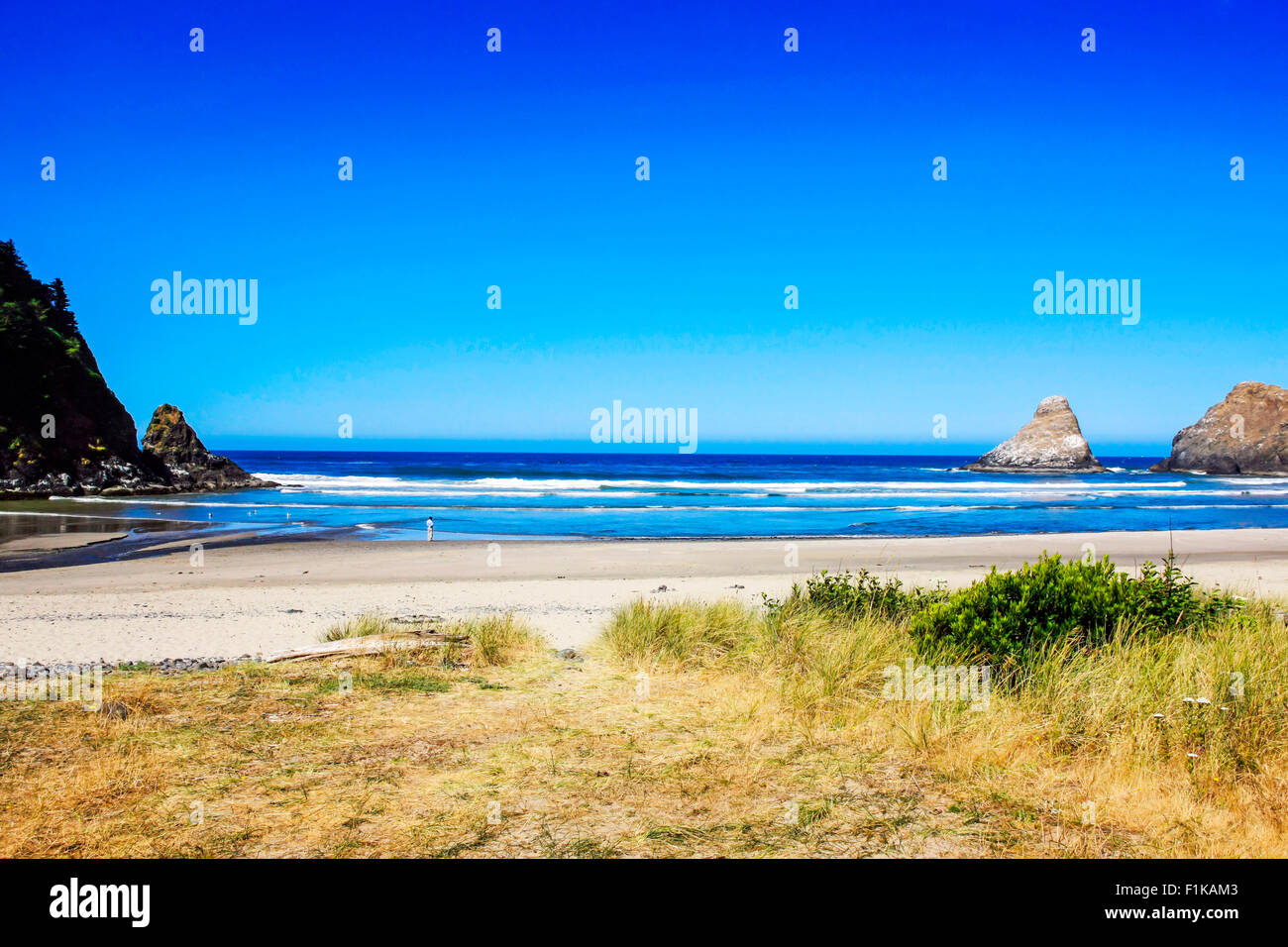 The Devil's Elbow State Park overlooks the Pacific coastline of Oregon ...