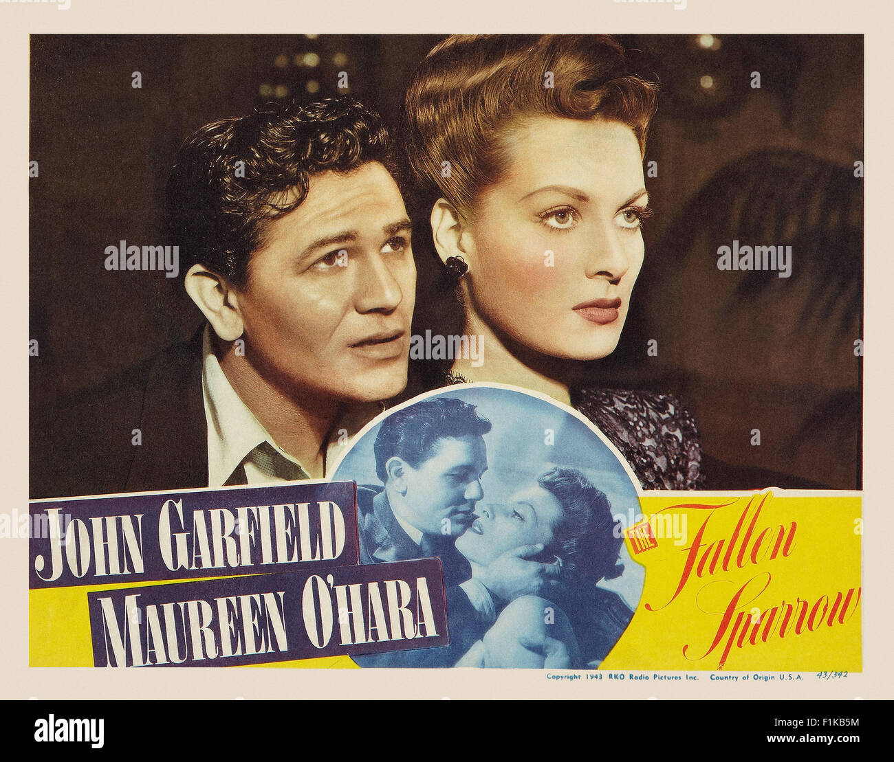 Sparrow design hi-res stock photography and images - Alamy